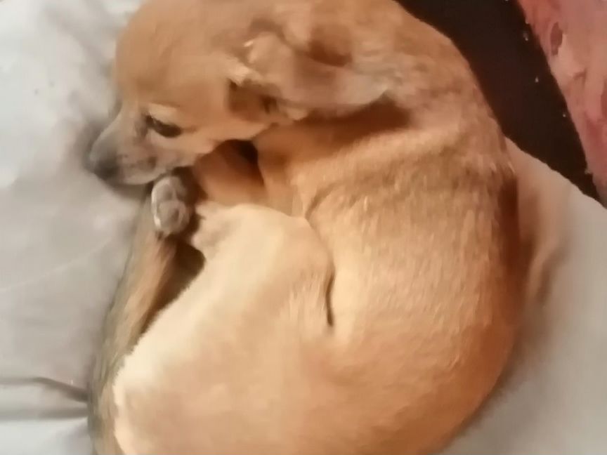 Той ждет подружку