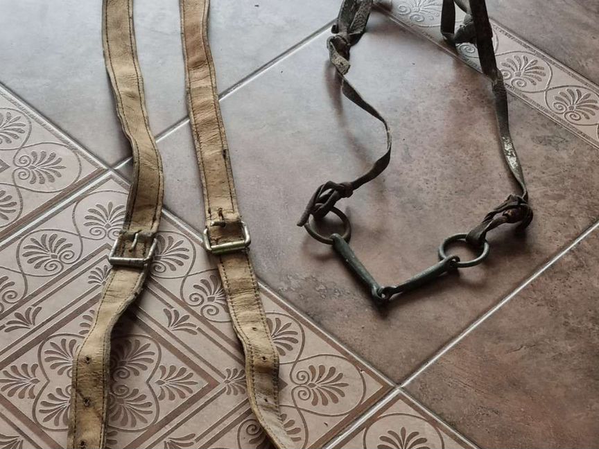 Трензель Подбрюшник сыромятная кожа СССР