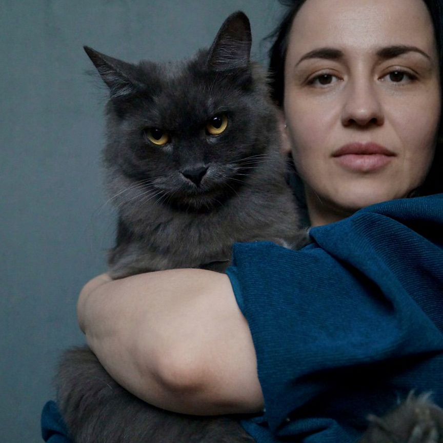 Кошки курильский бобтейл