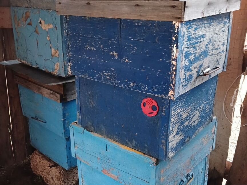 Улей для пчел бу