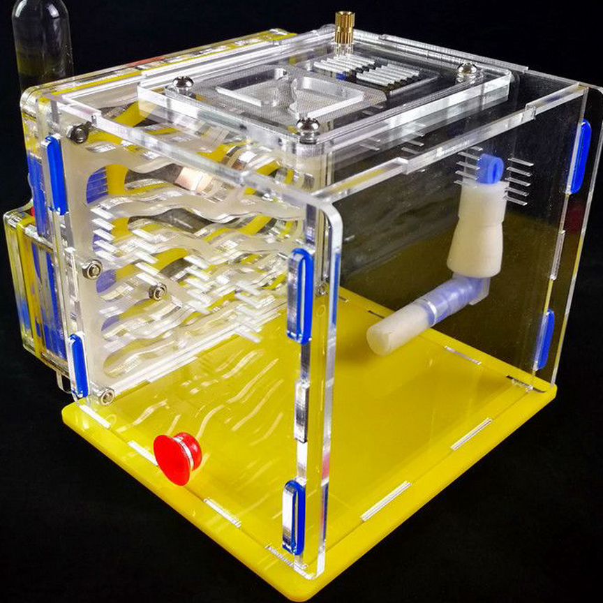 Муравьиная ферма куб