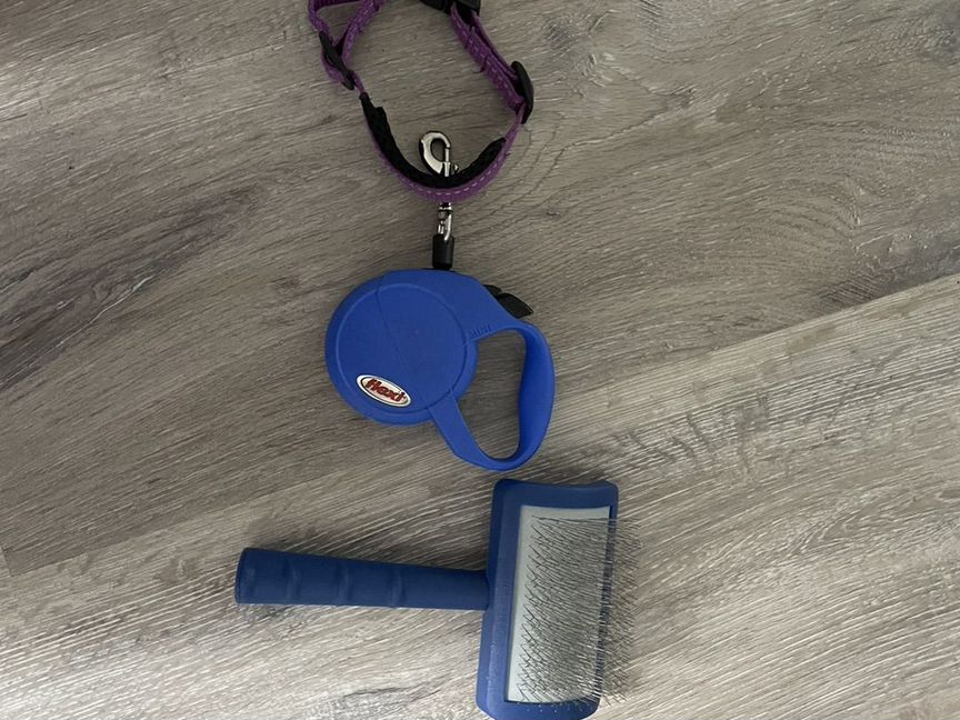 Ошейник новый, поводок и расческа пуходерка