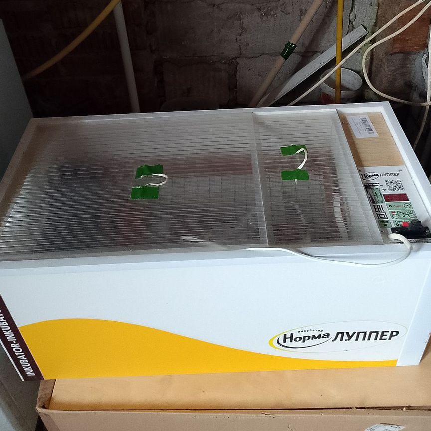 Инкубатор для яиц автоматический