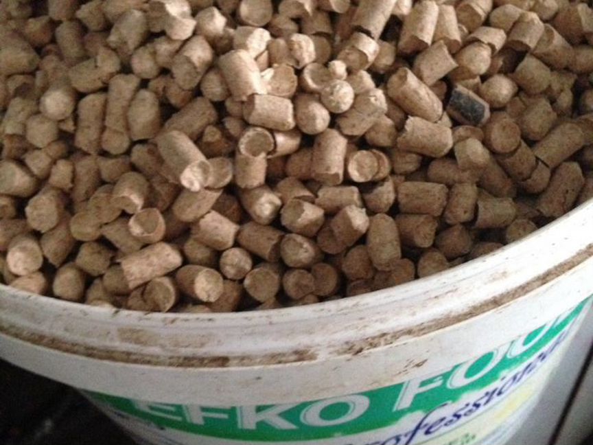 Хвойный наполнитель для кошек