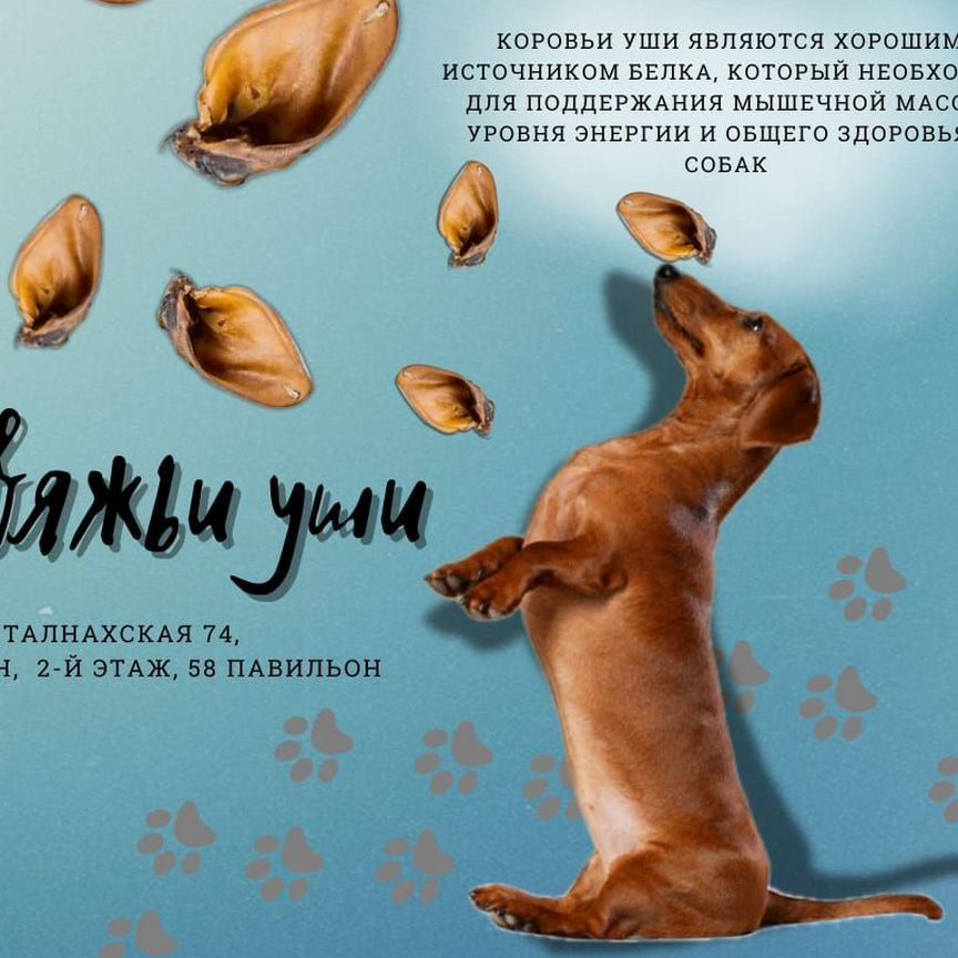 Лакомство для собак говяжьи уши