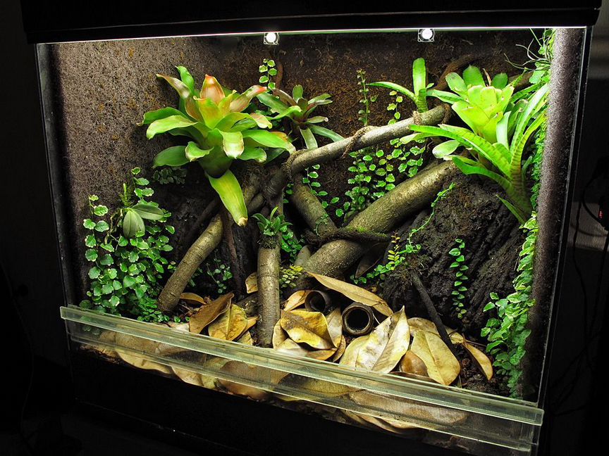 Террариумы новые и под заказ обновлено 29,05