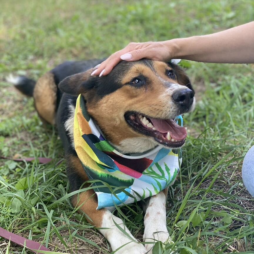 Герда ищет дом