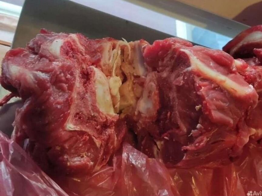 Мясо и кости для собак