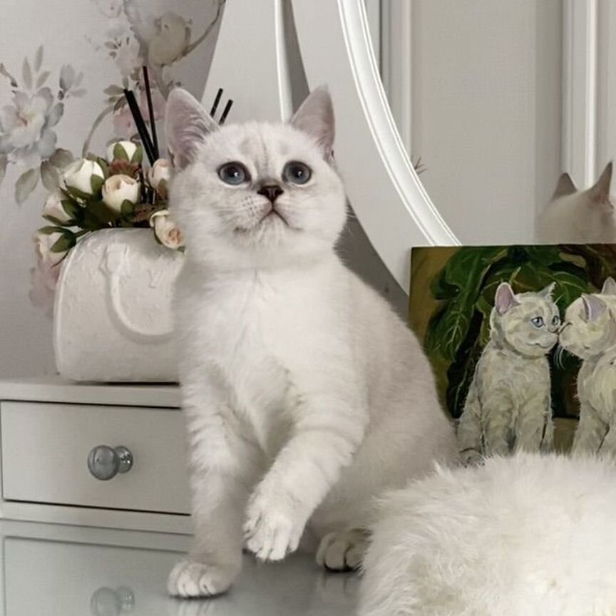 Сладкие мальчики