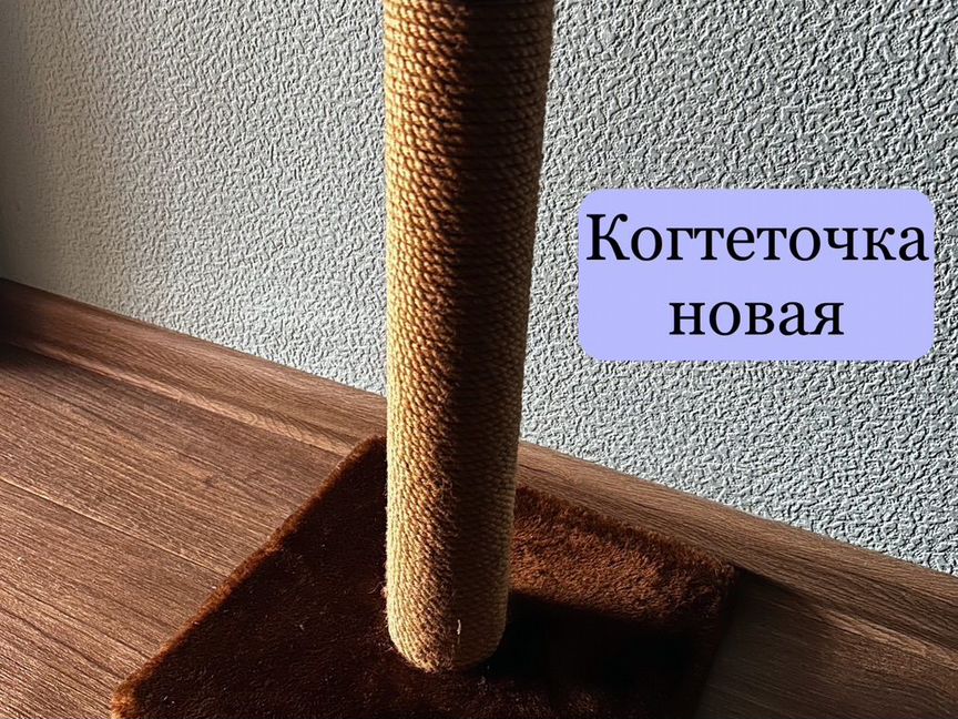 Когтеточка для кошек и котят