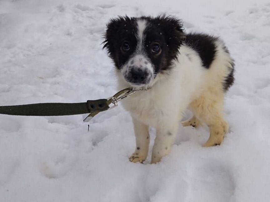 Малыха 3 мес