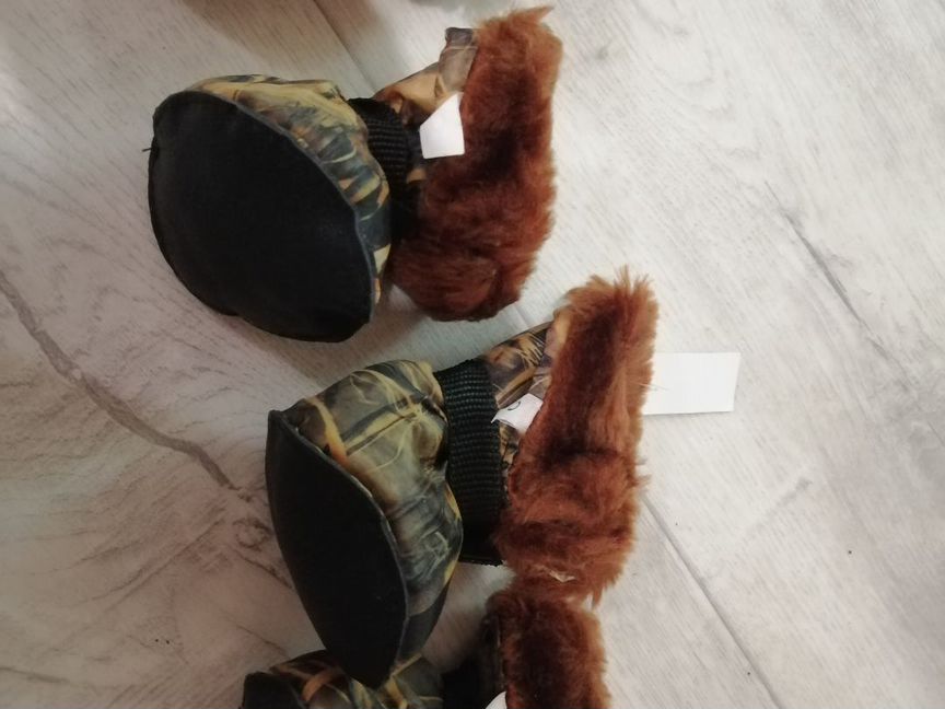 Обувь для собак