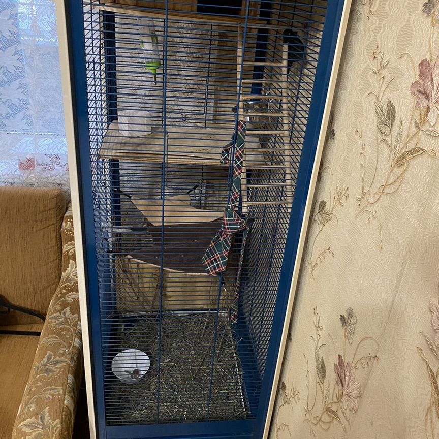 Клетка для белки