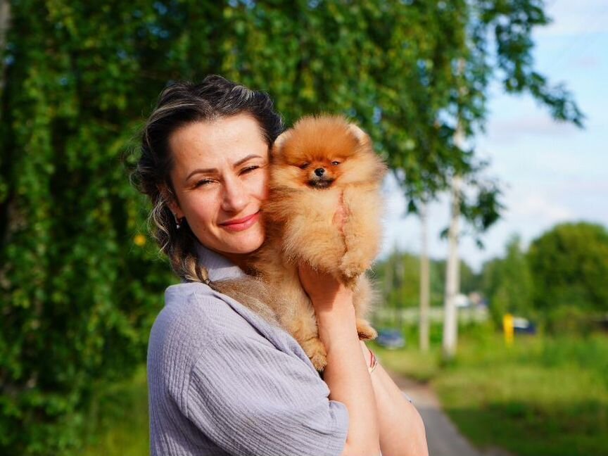 Померанское счастье