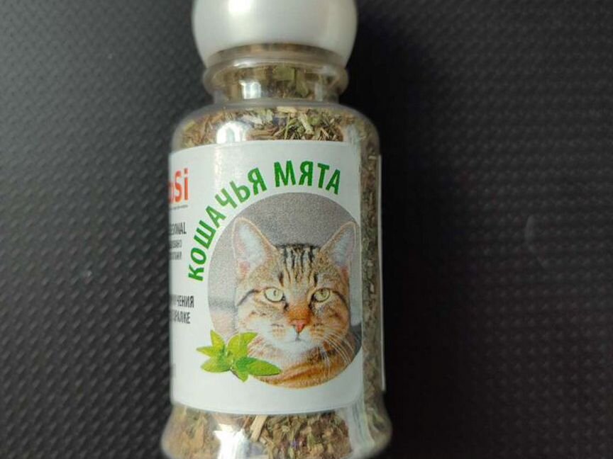 Кошачья мята