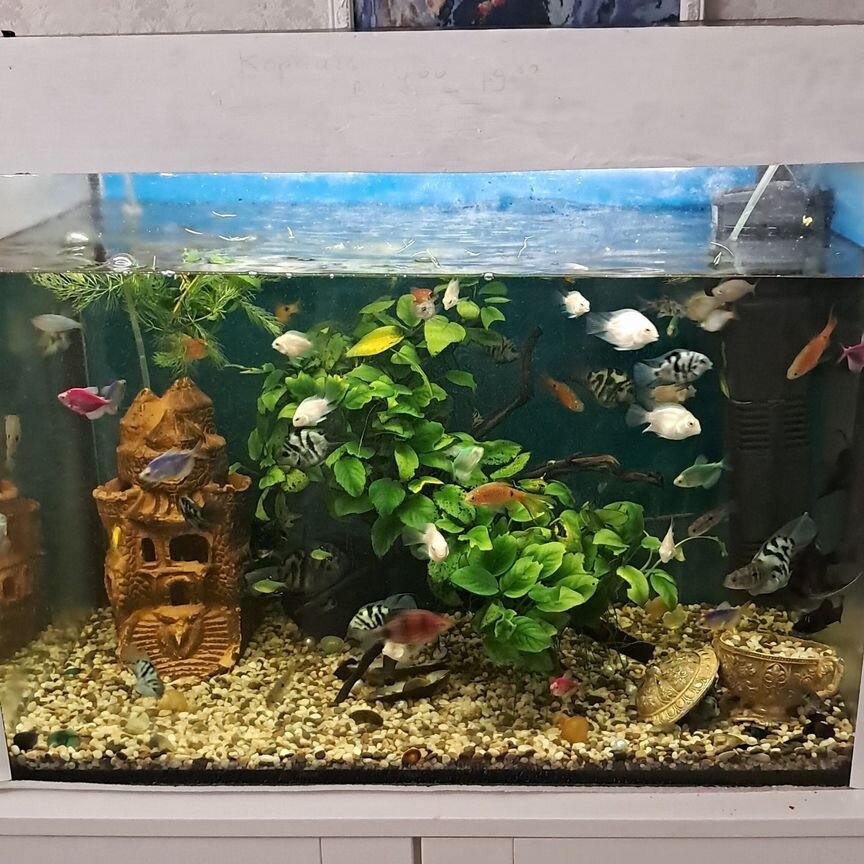 Аквариум 140 литров