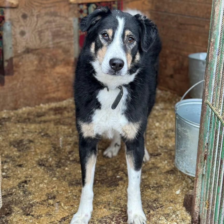 Пальма ищет семью