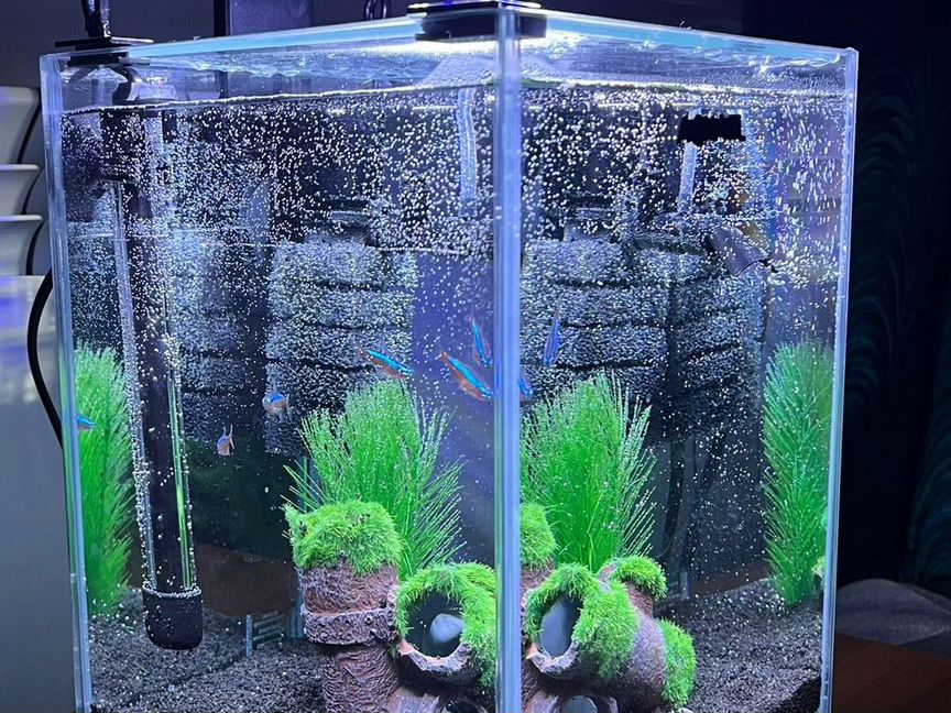 Аквариум aquael shrimp SET DAY&night