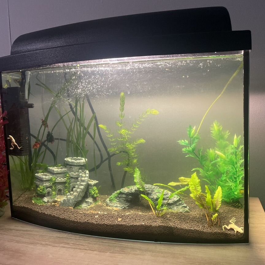 Аквариум с фильтром и светом
