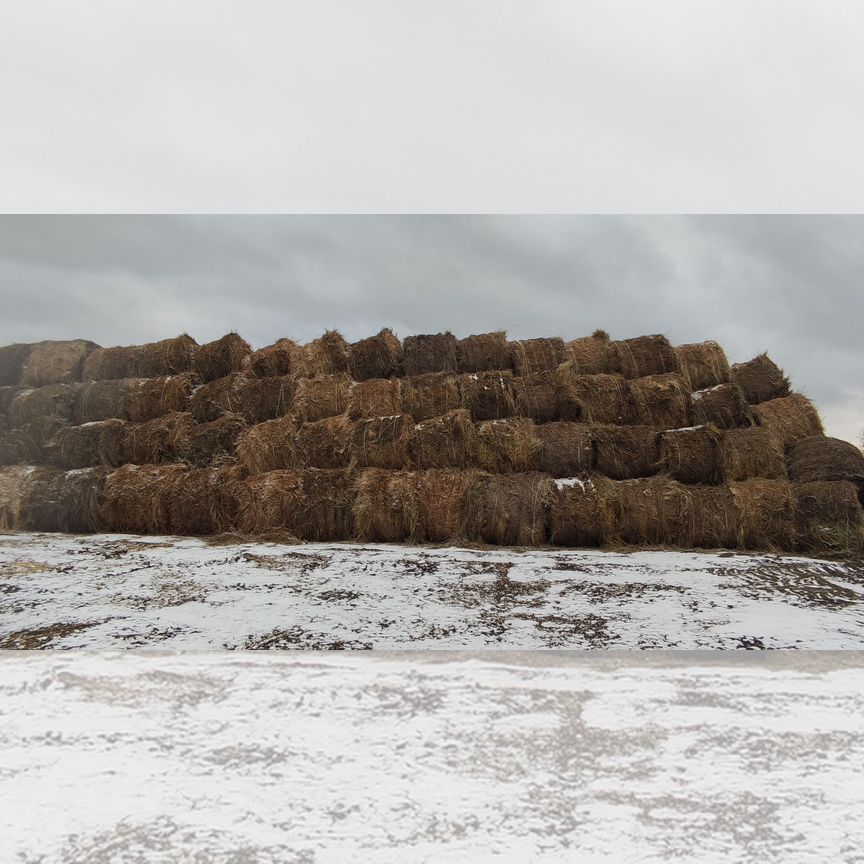 Сено и солома в рулонах