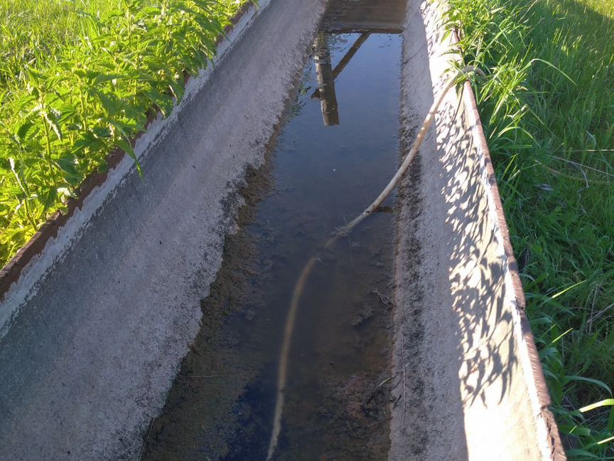 Корыто для скота или для огорода