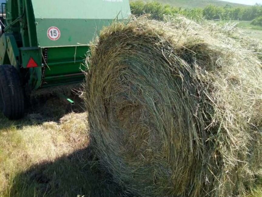 Продам сено в рулонах