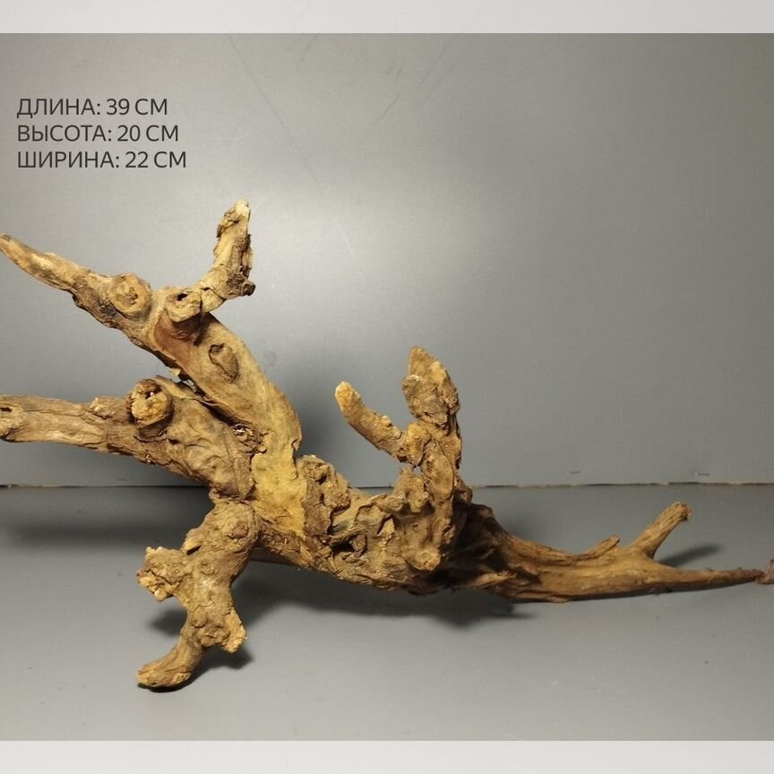 Коряга мангровая для аквариума 39*22*20 вк38