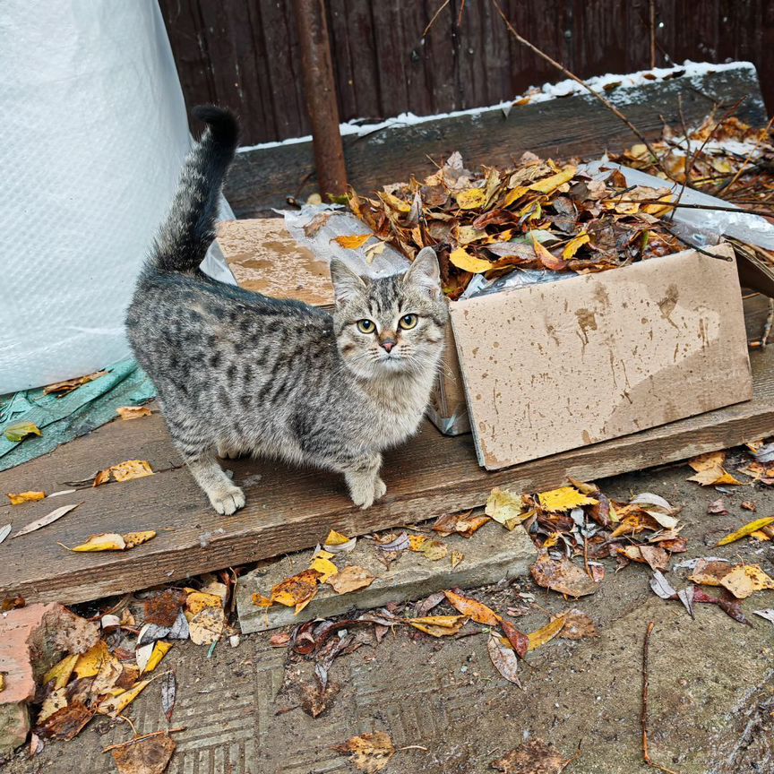 Малыш замерзает на улице