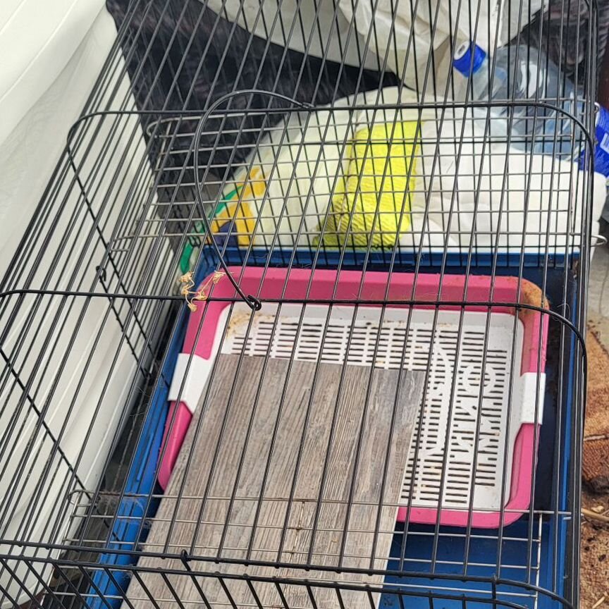 Клетка для животных