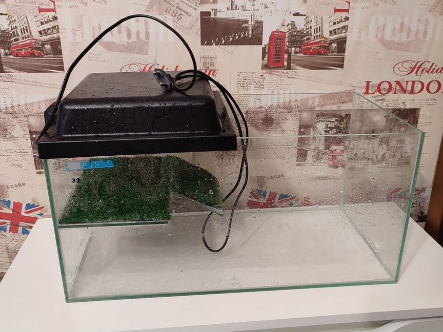 Террариум для черепахи