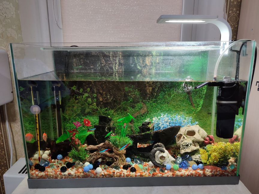 Аквариум с рыбками