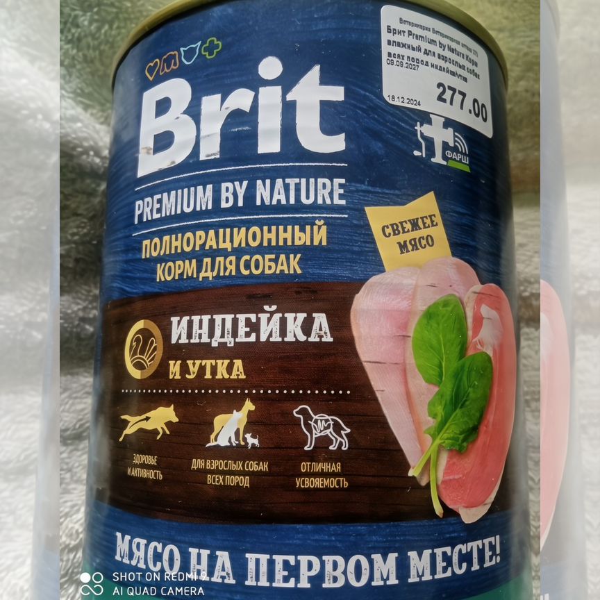 Корм для собак