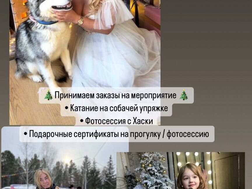 Хаски