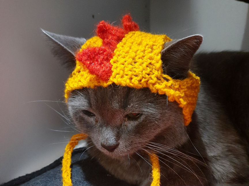 Шапка для маленькой собаки или кота