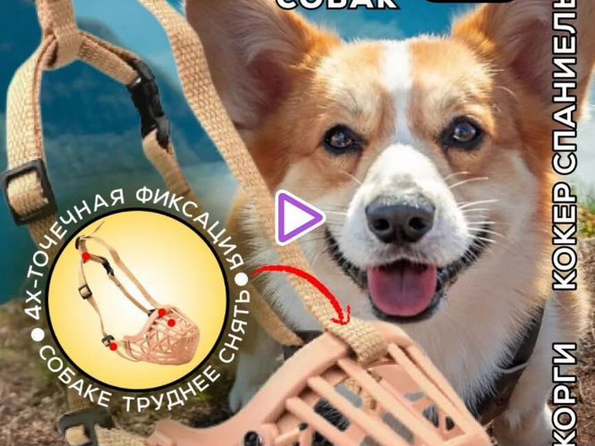 Намордник для средних собак