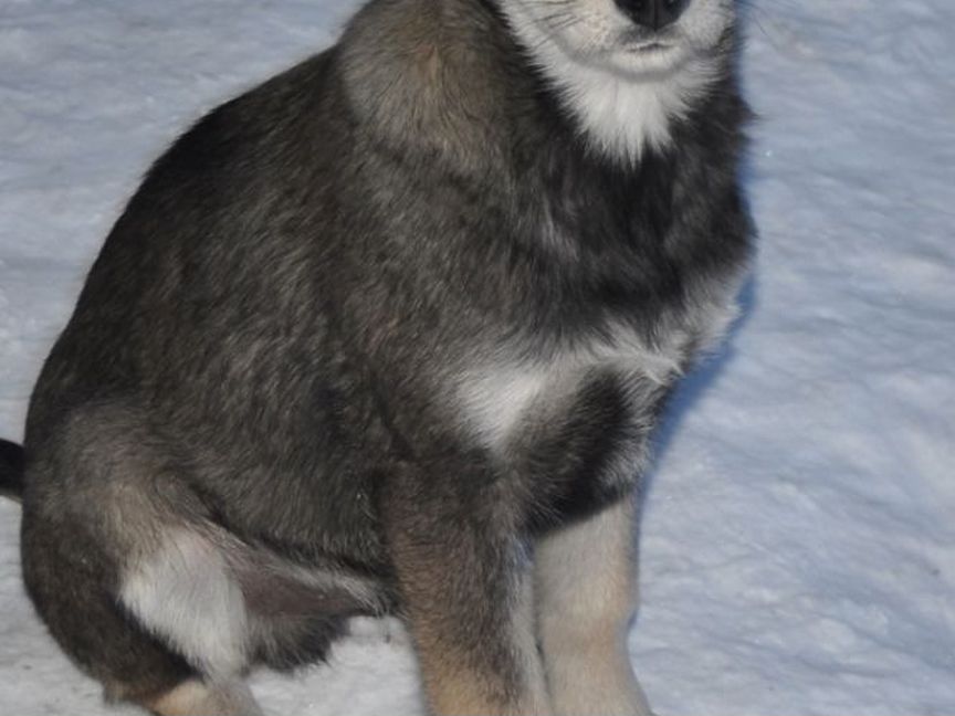 Мальчишки, 3,5месяца