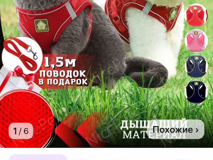 Шлейка для собаки чихуахуа