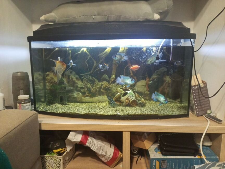 Аквариум с рыбками