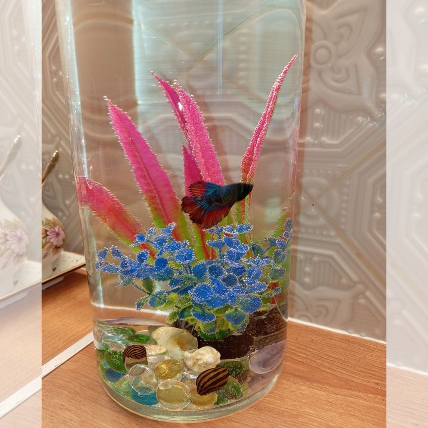 Рыбка петушок