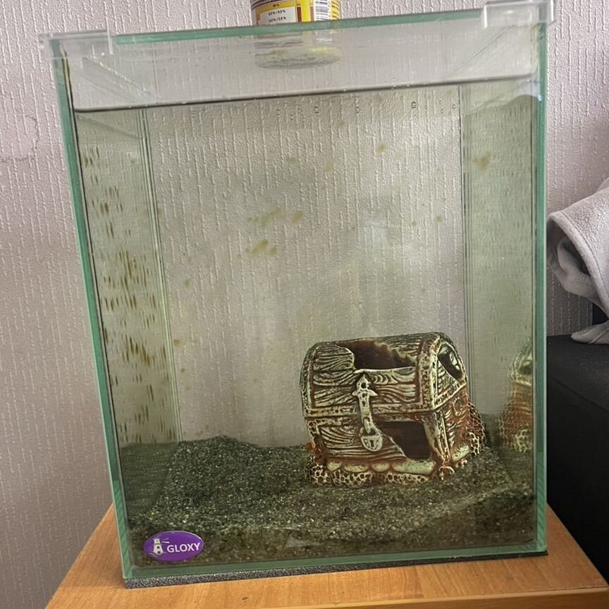 Отдам даром аквариум с рыбкой