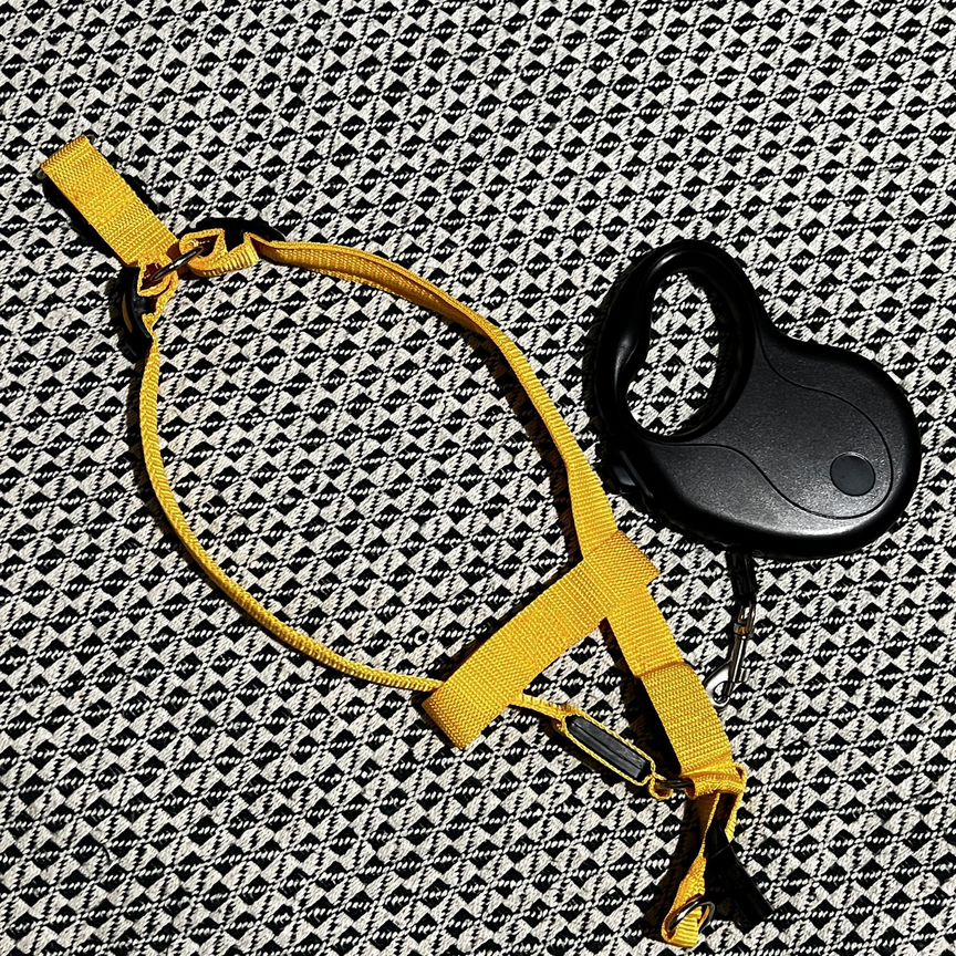 Шлейка для маленькой собаки или кошки