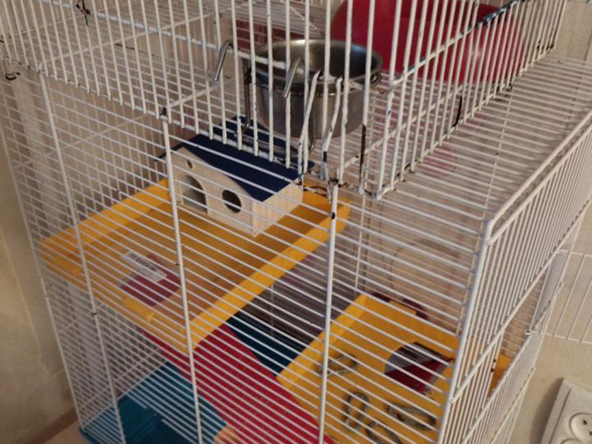 Клетка для крыс, грызунов большая