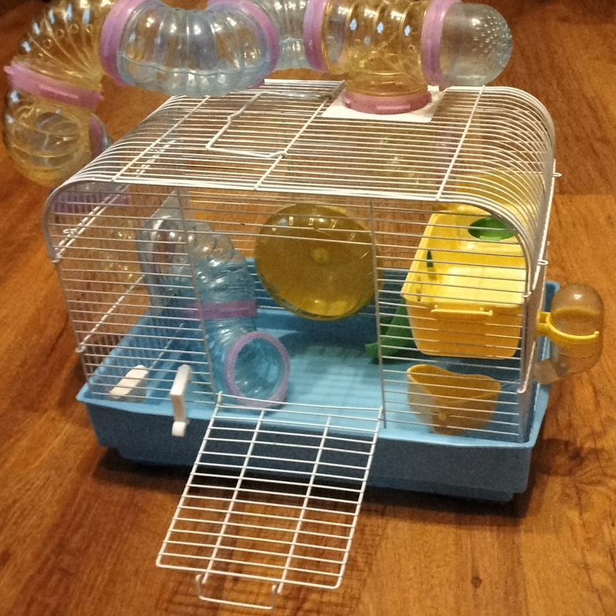Клетка для грызунов бу