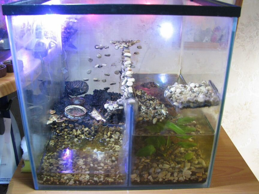 Аквариум террариум с крабиками и рыбками