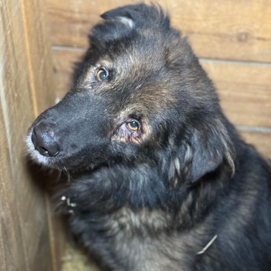 Спокойный Прошла надеется встретит своего человека