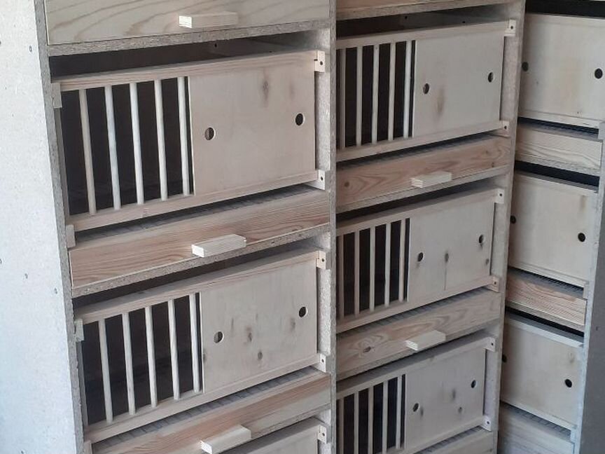 Товары для голубей