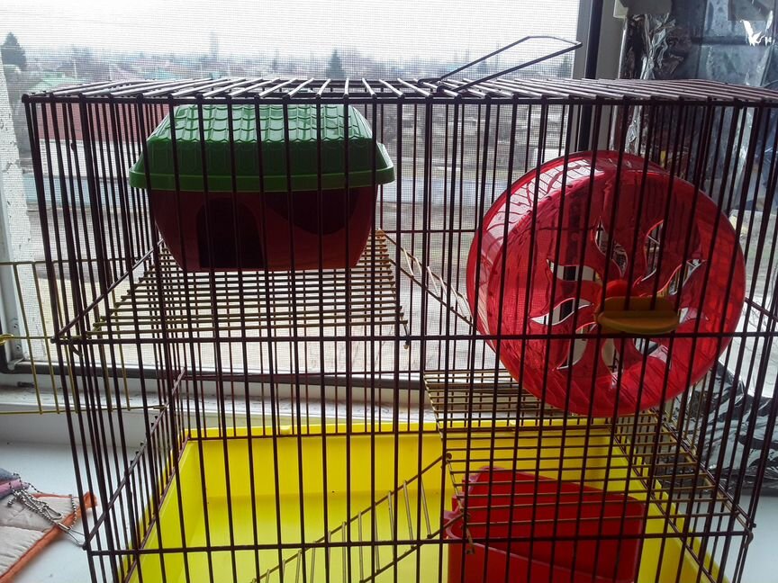 Клетка 22х33см