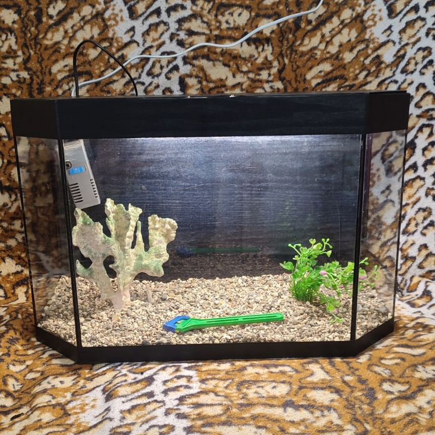 Аквариум панорамный