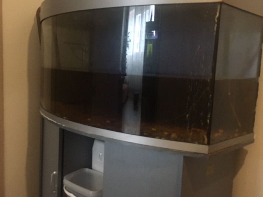 Отдам аквариум 250 литров