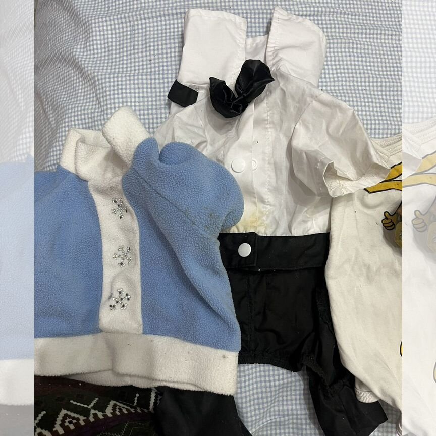 Вещи для маленьких собак